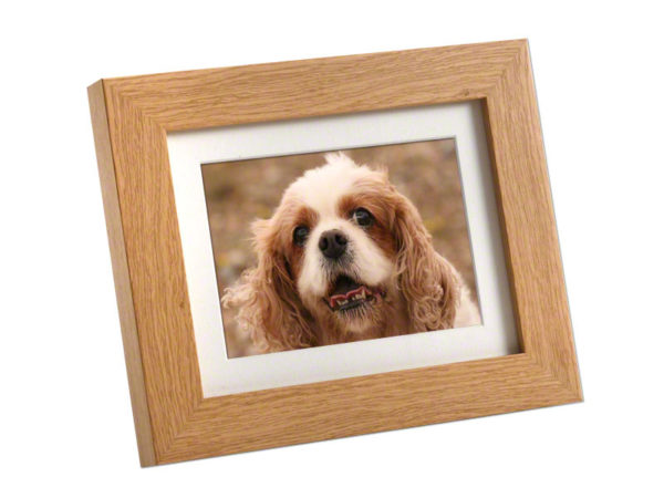 TRIBUTE FRAME - Restful Pets